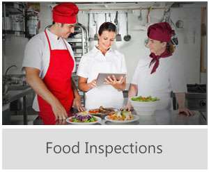 Pro Inspector - Pro Inspector a Unique Solution for Your Inspections ...